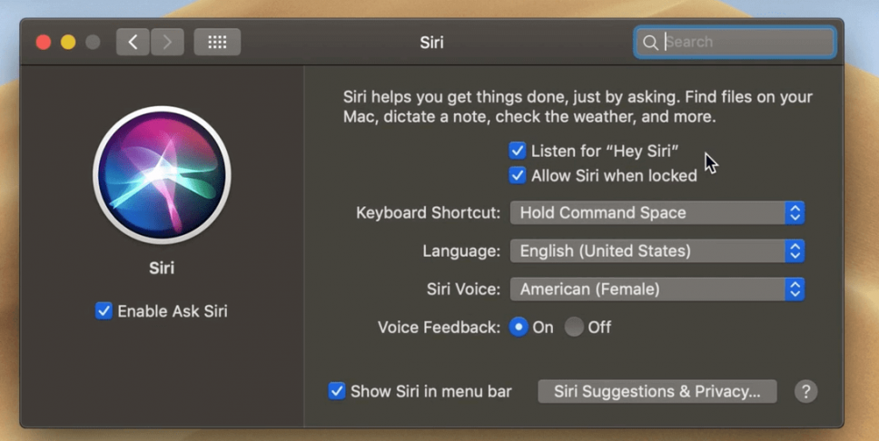 How to Use Siri on a Mac | Nektony