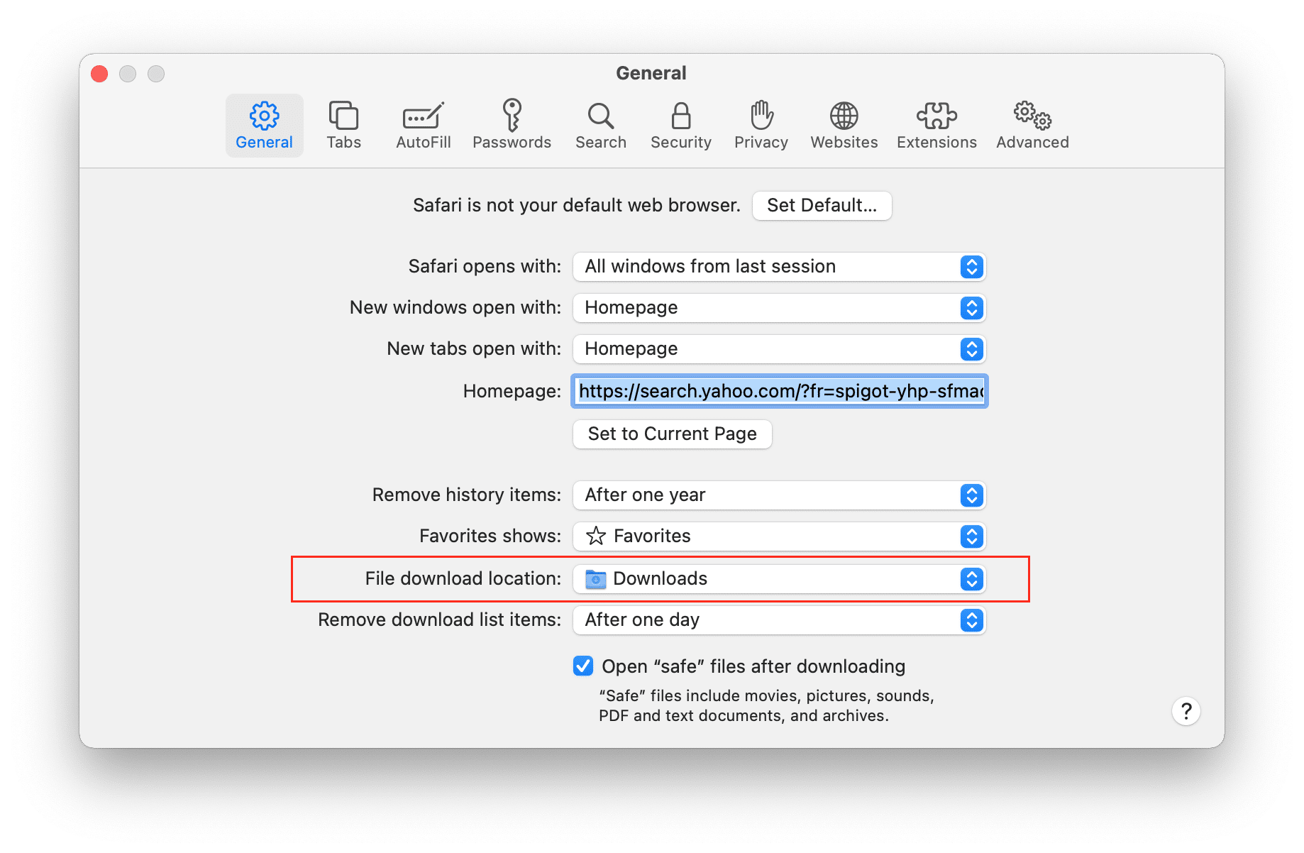 Downloads On Safari