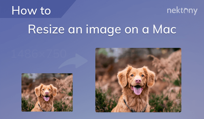 How To Resize An Image On Mac Batch Resize Images