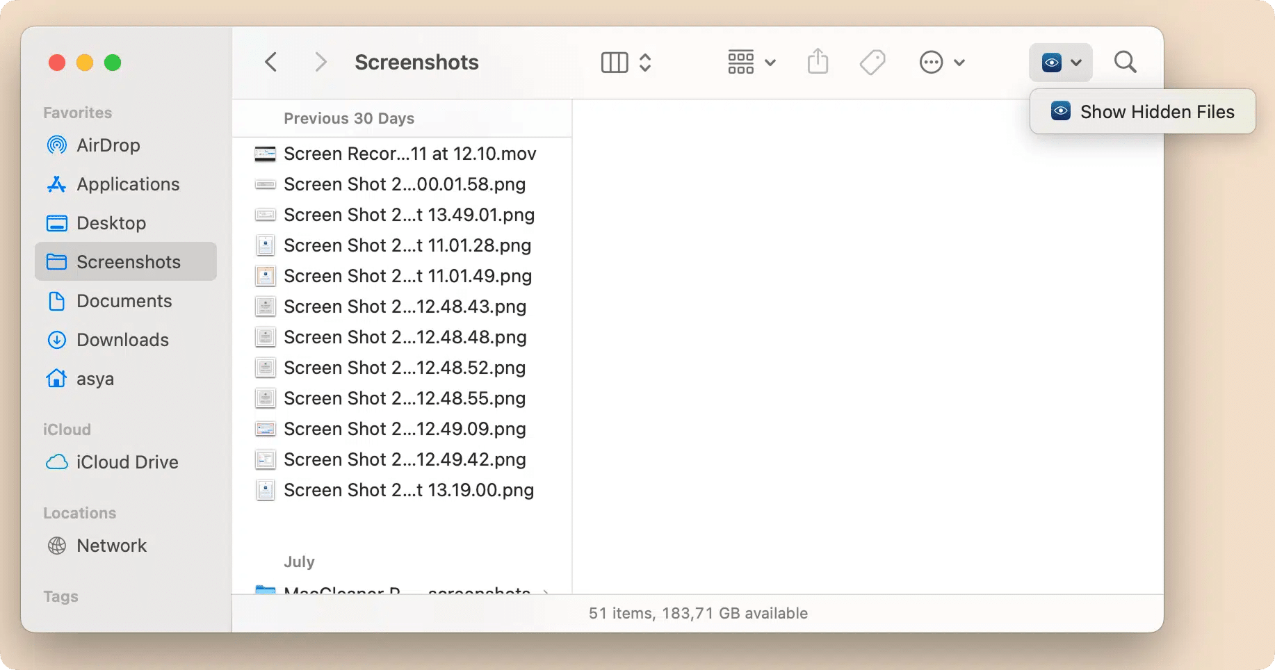 How to show hidden files on Mac: 4 Methods